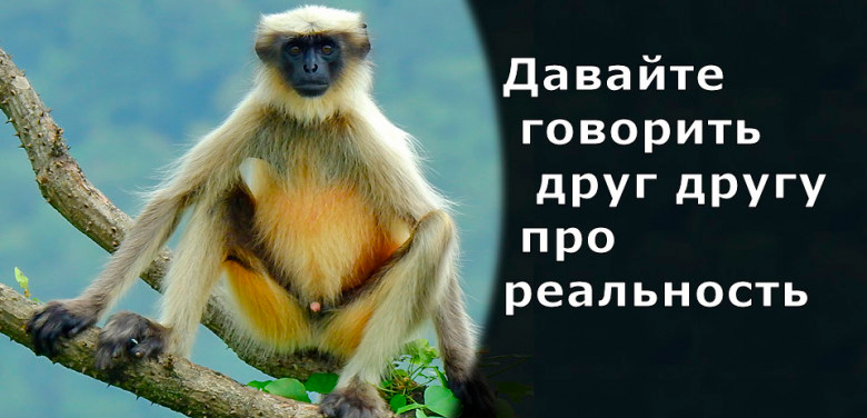 Подскажите аниме где крутой парень влюбляется в обычную девушку