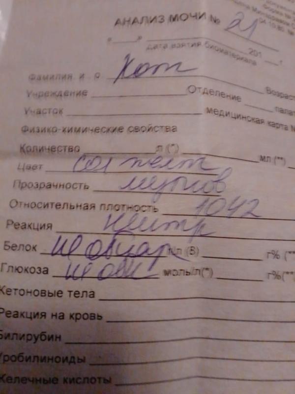 Ответы Mail: Как лечить МКБ у кота?