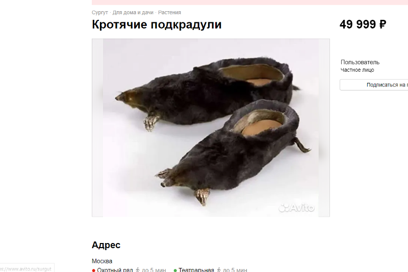 Ответы Mail.ru: Где купить бархатные подкрадули кротячие