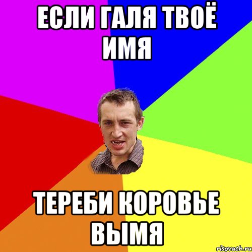 Топ 5 обзывалок на имя галя | Ответы Mail