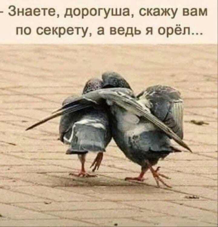 Ответы В общем я понял за 50 с лишним лет что мужчина должен
