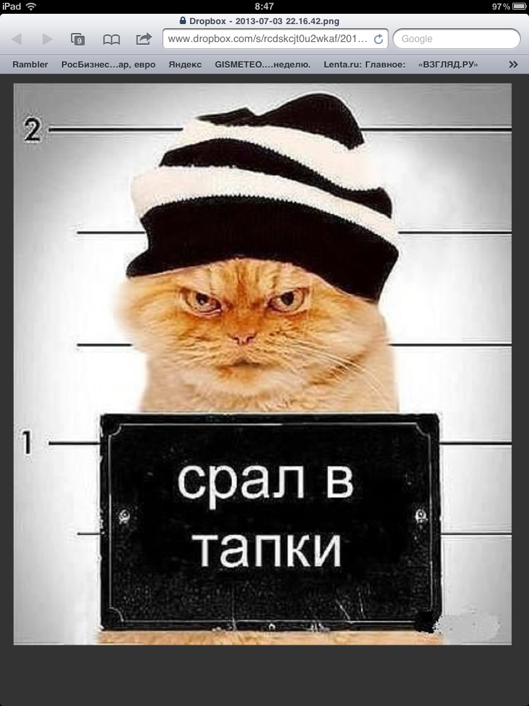 Ответы Муж накричал на жену жена накричала на сына сын