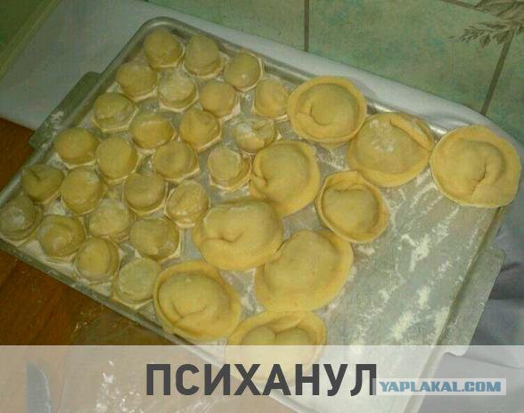 Что это за зверь такой бульмень?))) | Ответы Mail
